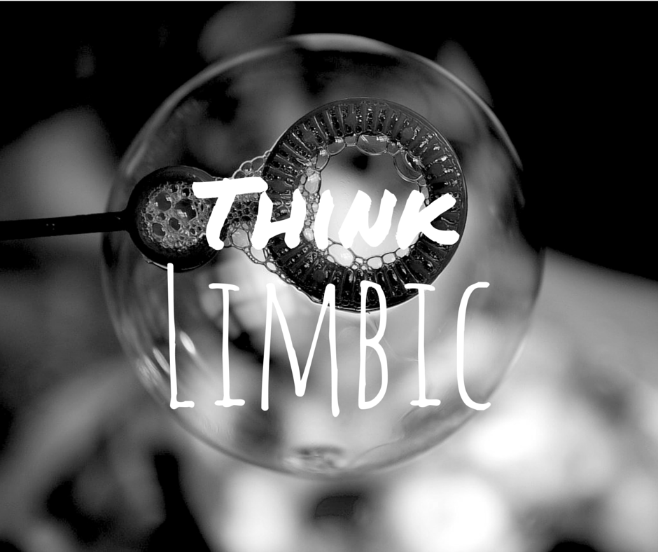 Limbic Map: Karte zum Gehirn | Torsten Henning Hensel. Brand ...